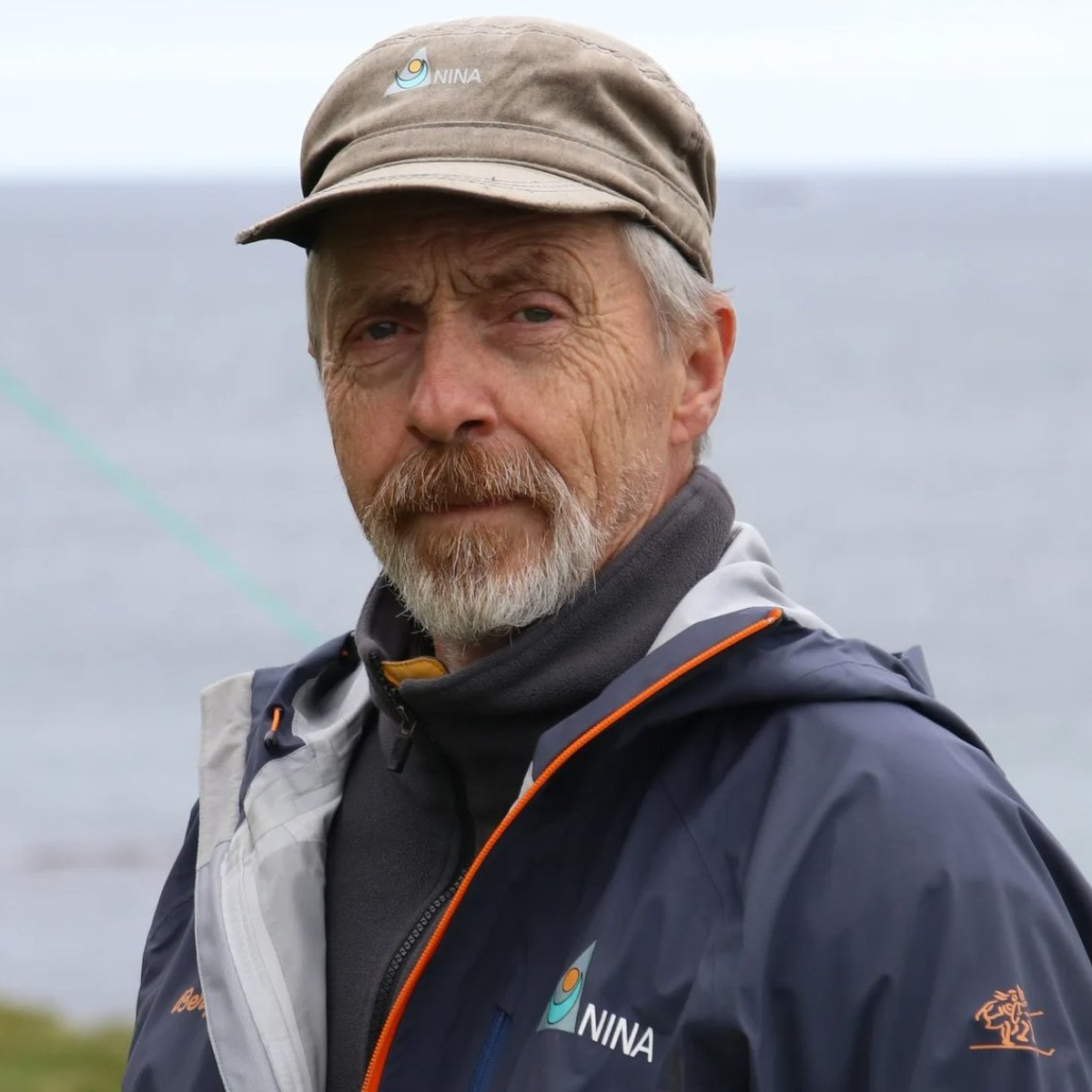 Observing Seabirds: Understanding Oceans | Farallon Institute